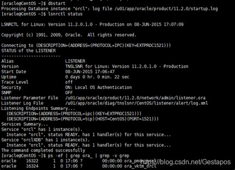 Oracle 11g 基于centos7静默安装教程无图形界面，远程安装oracle 11g 静默安装 Csdn博客