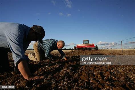 Ingrey Photos And Premium High Res Pictures Getty Images