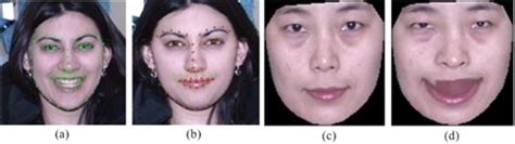 Figure 1 From Fast Dct Based Expression Extraction And Lifelike