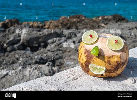 Coconuts Beach Cozumel At Joan Cross Blog