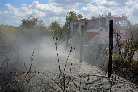 Пожарникари горски стопани доброволци и военнослужещи участваха в овладяване на огнената