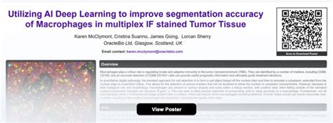 Utilizing Ai Deep Learning To Improve Segmentation Accuracy Of Macrophages In Multiplex If