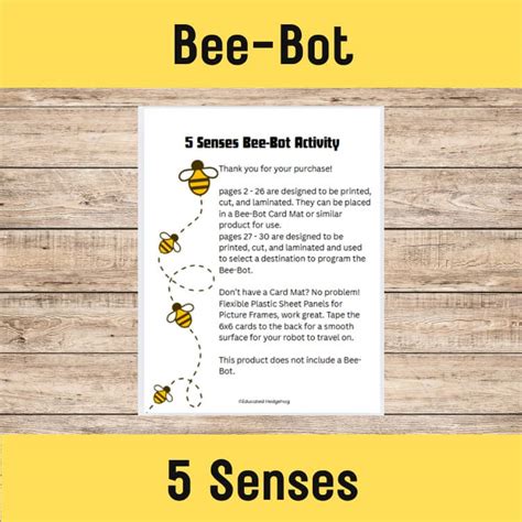 5 Senses Bee Bot Activity By The Educated Hedgehog Tpt