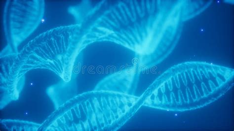 Structure Of The DNA Double Helix Animation Stock Illustration Illustration Of Medical