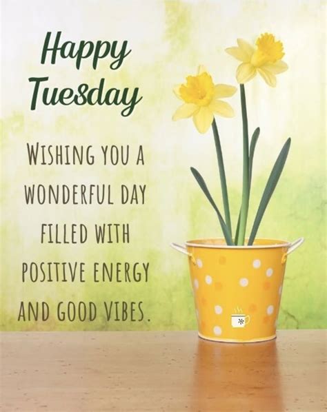 Happy Tuesday Morning Quotes And Wishes Daily Positive Affirmations