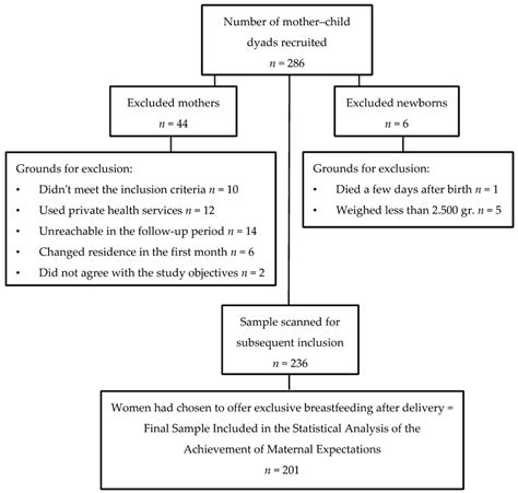 Flowchart Of The Sample Selection Process Download Scientific Diagram