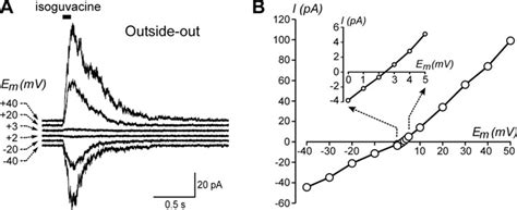 Estimations Of The Correction Factor For The Solution For Cell Attached Download Scientific