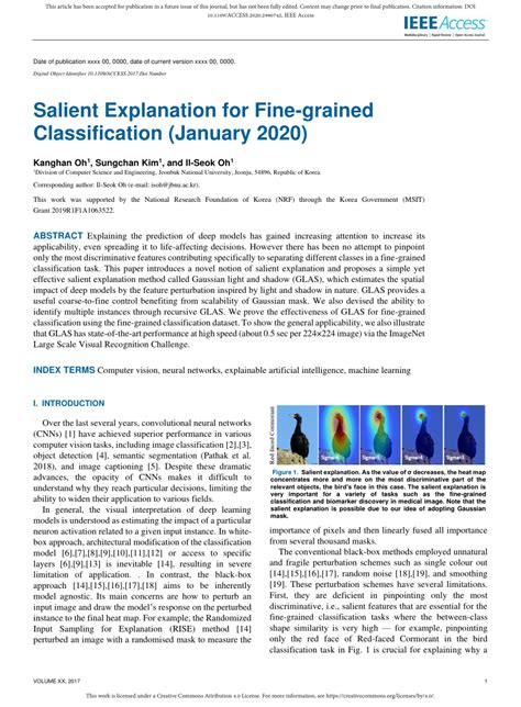 PDF Salient Explanation For Fine Grained Classification