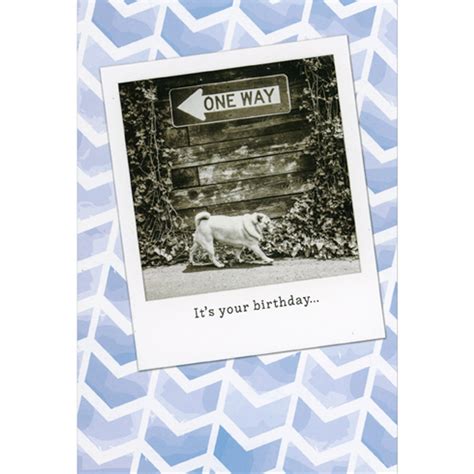 Pug Walking Wrong Way In Instant Camera Photo Frame Funny Birthday Card
