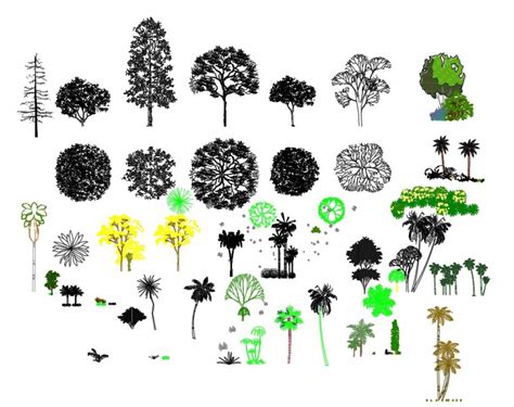 Wild Tree And Plant D Elevation Blocks Cad Drawing Details Dwg File