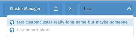 Cluster Drop Down Overflows When Text Typed And Text Color Issue · Issue 2329 · Rancher