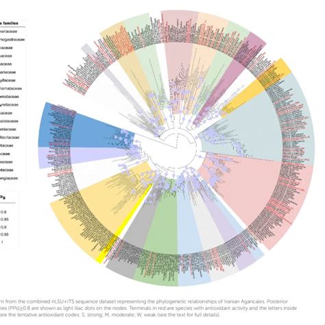 Steps Involved In Mushroom Classification Using Artificial Neural Download Scientific Diagram