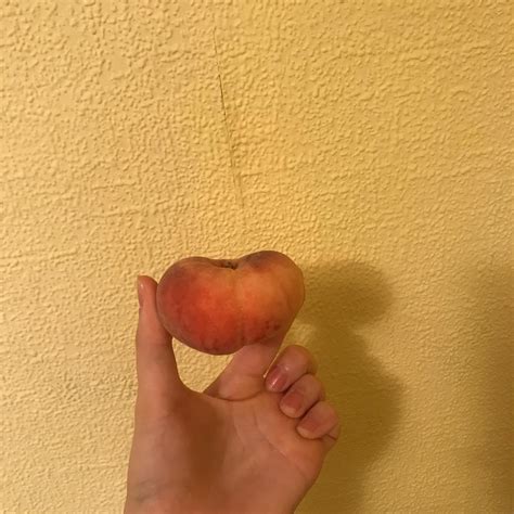 요즘 스페인에 대한 그리움이 커지는데 그 중에서 제일 그리워 하는 건 과일 🍑납작 복숭아 한국에서 복숭아 거들떠도 안 봤는데 꼭 한국 떠나있을 때 좋아했단