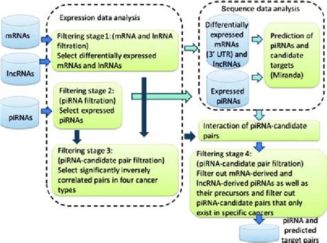 Schematic Of Prediction Pipeline Download Scientific Diagram