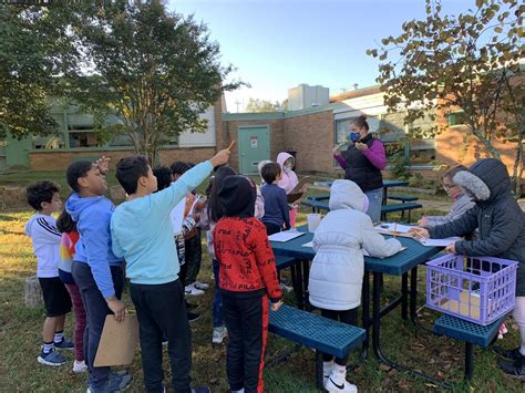 Tree Identification Lesson With CampbellOutside Campbell Elementary