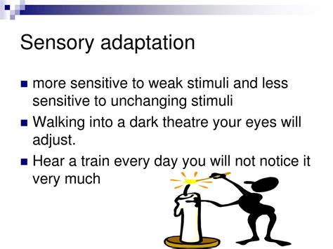 Sensory Adaptation
