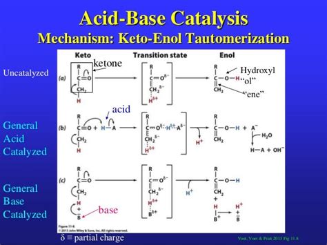 😊 Acid Base Catalysis In Enzymes Acid Catalysis 2019 01 10