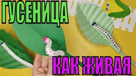 Гусеница из Бумаги Своими Руками Youtube