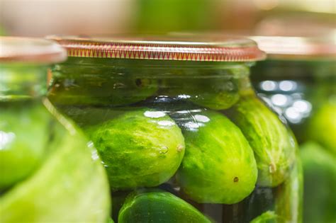 나무 배경에 항아리에 오이를 절인 통조림 수제 음식 클로즈업 선택적 초점 0명에 대한 스톡 사진 및 기타 이미지 0명 가정 생활 가정 주방 Istock