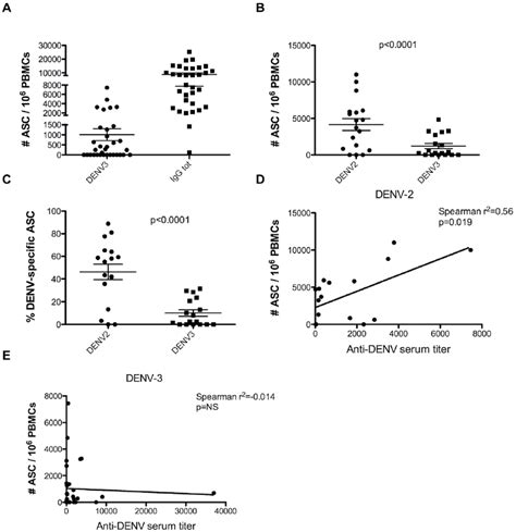 Increased Cross Reactive Denv Specific Pcs During Acute Secondary Denv Download Scientific