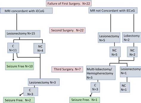 Flow Chart Representing Seizure Outcomes Based On Diagnostic Findings Download Scientific