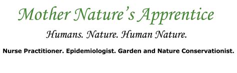 Hummingbird Migration 2025 Mother Natures Apprentice