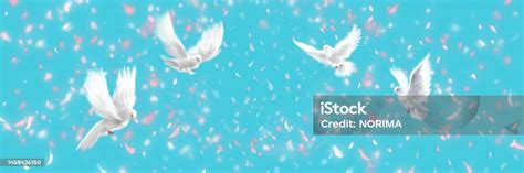 봄에 만개한 벚꽃과 평화를 상징하는 흰 비둘기의 넓은 배경 그림 3월에 대한 스톡 벡터 아트 및 기타 이미지 3월 4월