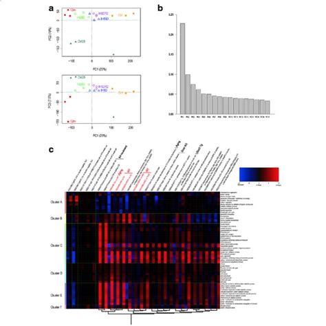 Summary Of Go Based Microarray Analysis Download Table