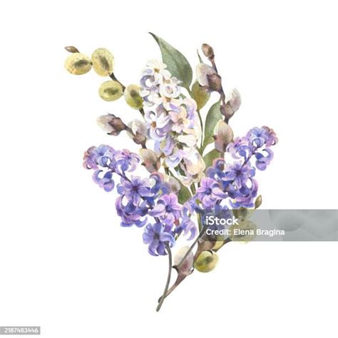 수채화 그림 봄 꽃의 템플릿입니다 꽃이 만발한 히아신스 계곡의 백합과 함께 수채화 배경 엽서 결혼식 초대장 생일 인쇄용 디자인 0명에 대한 스톡 벡터 아트 및 기타 이미지