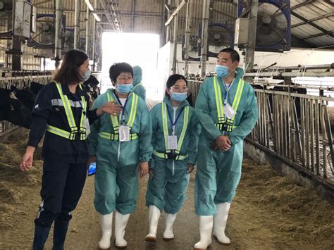 农牧工程学院圆满完成光明牧业暑期夏令营活动 黑龙江省畜牧兽医职业教育集团 Powered by PageAdmin CMS