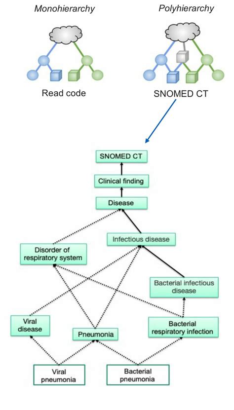 Nhs England Clinical Coding Snomed Ct