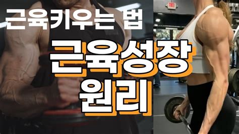 근육 성장 원리 근육 키우는 방법 운동상식 Youtube