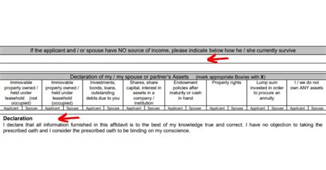 How To Fill SASSA Affidavit Form For An Old Age Grant