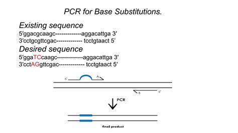Site Directed Mutagenesis By Pcr Pptx