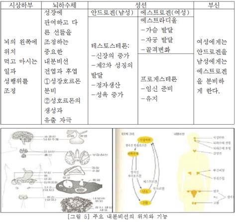 여아의 2차 성징 사춘기의 신체적 변화와 특징 한숨
