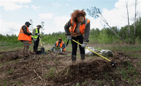 Protect Your Trees From Harsh Weather