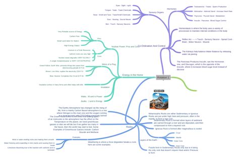 Rotation 1 Coggle Diagram