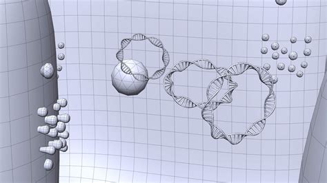 Mitochondria 3d Model By Esfey