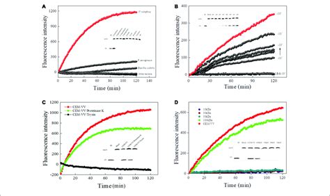 A The Biosensor Based Assay Responded To Rfd Vv M2 In A Blank Download Scientific Diagram