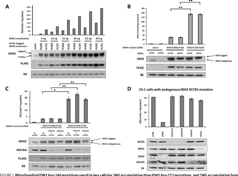 Figure 1 From The Potential For Isocitrate Dehydrogenase Mutations To Produce 2 Hydroxyglutarate