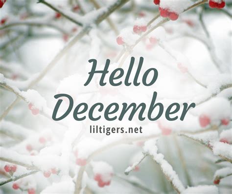 160 Best Hello December Quotes Sayings And Wishes 2022