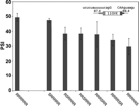 Splicing Of Designer Exons Informs A Biophysical Model For Exon Definition