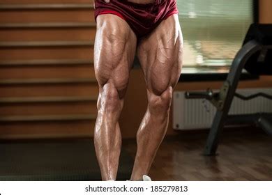 Bodybuilder Legs Images Stock Photos Vectors Shutterstock