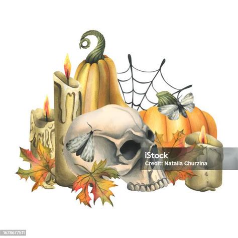 주황색 호박 양초 밤 나방 거미줄 단풍이 있는 인간의 두개골 할로윈과 죽은 자의 날을 위해 손으로 그린 수채화 삽화 흰색 배경에 격리된 구성입니다 10월에 대한 스톡 벡터
