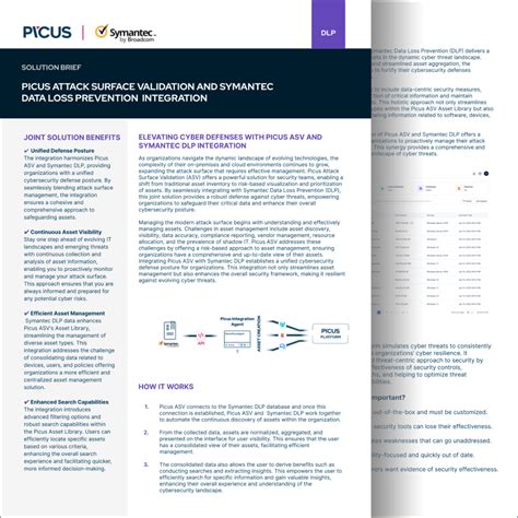 Symantec Integration Picus