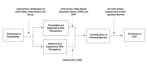 Conceptual Framework Dpp Diabetes Prevention Program T2dm Type 2 Download Scientific