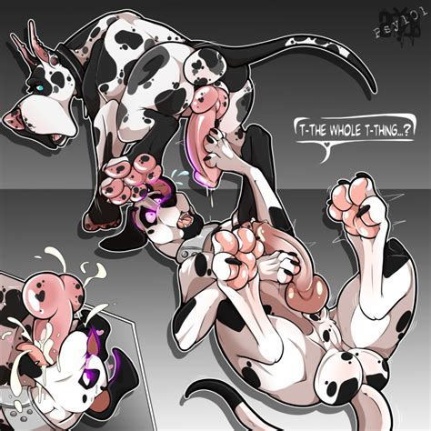 Rule 34 11 4 Toes Anatomically Correct Animal Genitalia Animal Penis