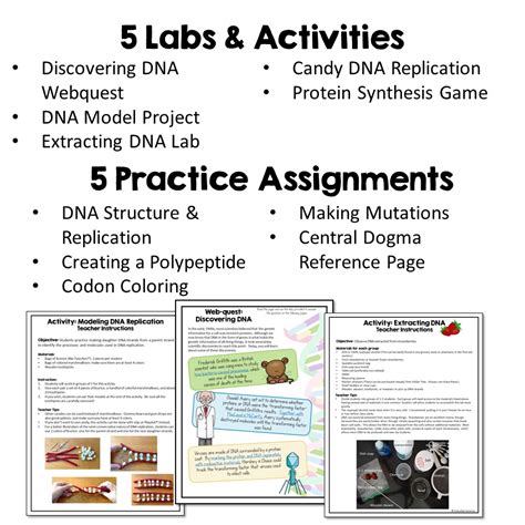 Unit 7 Dna And Protein Synthesis Lesson Suburban Science