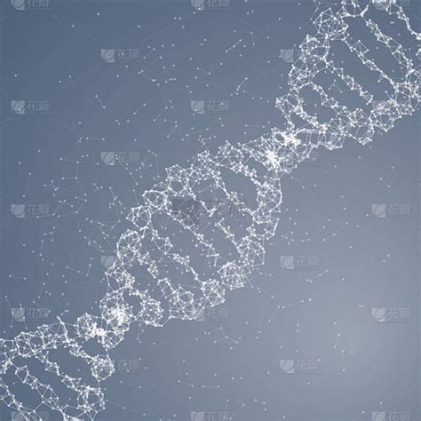 Dna 分子回来