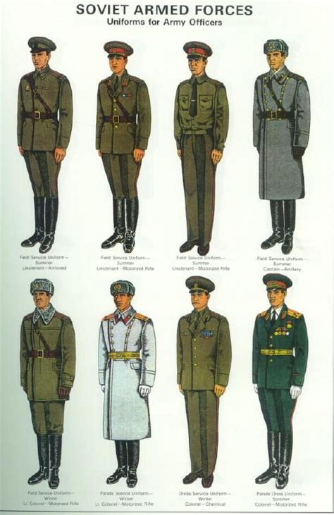 Soviet Uniform Illustrations | Soviet red army, Wwii uniforms, Uniform